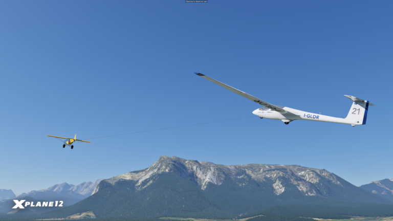 Schleicher ASK 21 | X-Plane