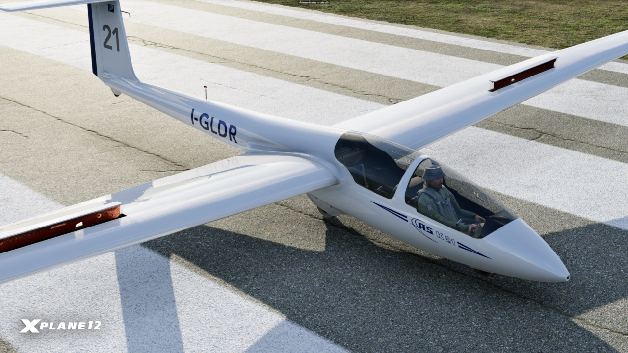 Schleicher ASK 21 | X-Plane